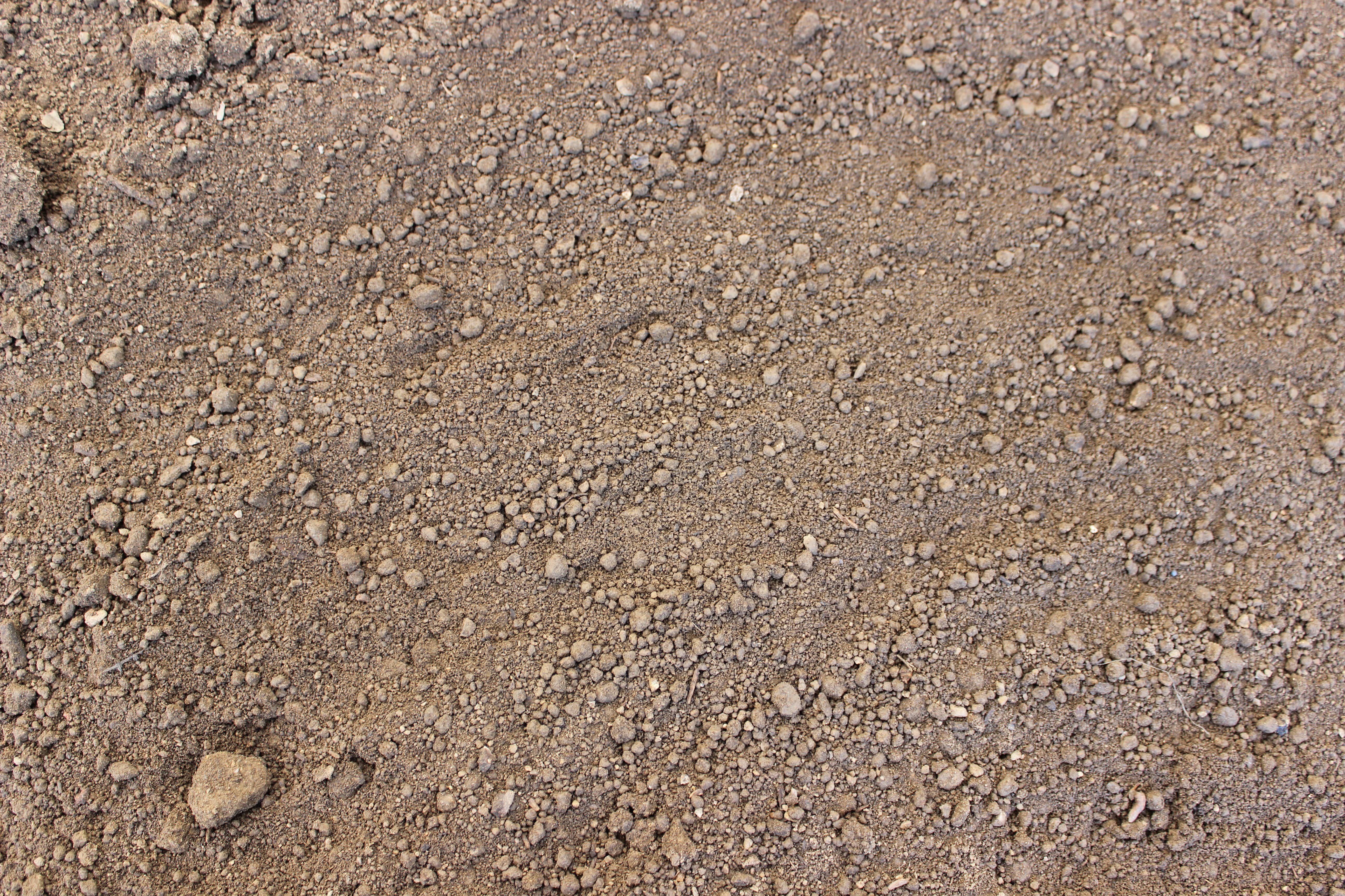 Premium Beach Sand - Tawa Mulch & Landscape Supply