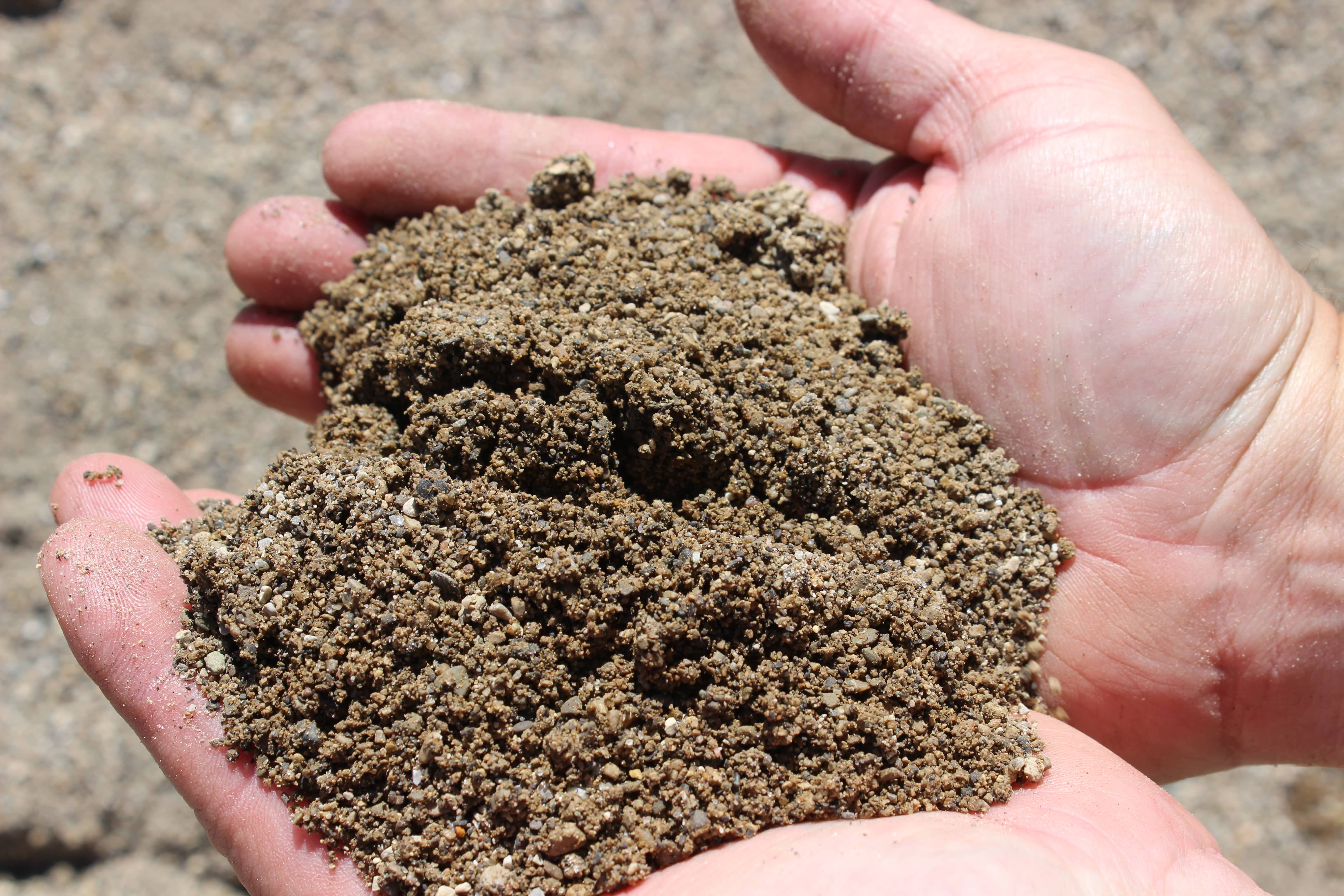 Topsoil - Tawa Mulch & Landscape Supply