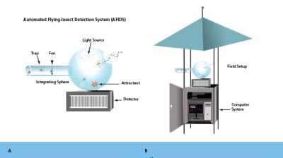 An Automated Flying-Insect Detection System - Tech Briefs