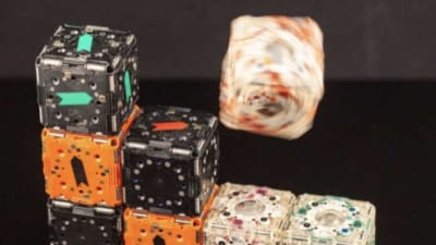 "M-Blocks" Jump, Flip, Communicate, and Self-Assemble into Structures ...