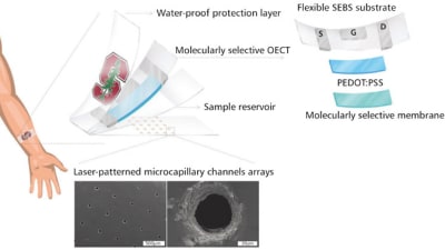 Wearable Device Measures Cortisol in Sweat - Tech Briefs