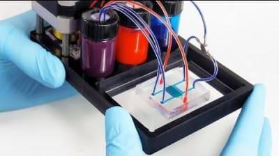 Microbrain-On-A-Chip Device to Improve Drug Development & Testing ...
