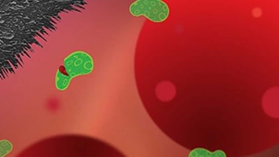 Graphite Nanoplatelets on Devices Prevent Infections - Tech Briefs