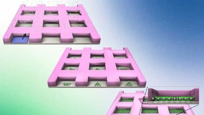 Growing a 2D Functional Transistor on a Silicon Wafer - Tech Briefs