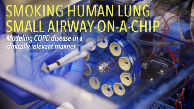 Cigarette-Smoking Robot Helps Scientists Understand Lung Disease - Tech ...