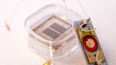 Electronic Polymer Patch Prevents Misplaced Radiation - Medical Design ...