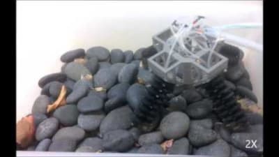 A First: 3D-Printed, Squishy Four-Legged Robot Can Climb Over Obstacles ...
