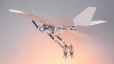 Bird-Inspired Drone Can Jump for Take-Off - Tech Briefs