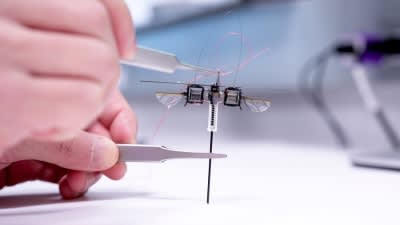 Hopping Robots to Traverse Challenging Terrain - Tech Briefs