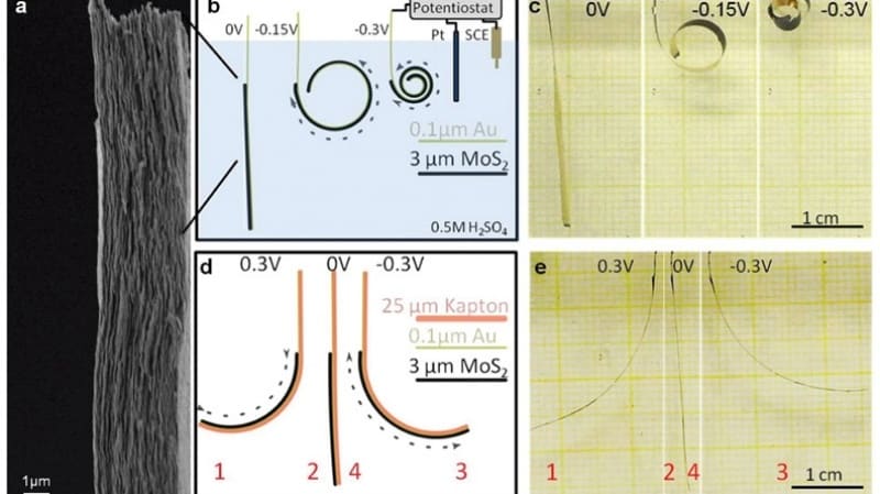 An Electric Nudge to the Head to Improve Robotic Surgery Skills - Tech ...