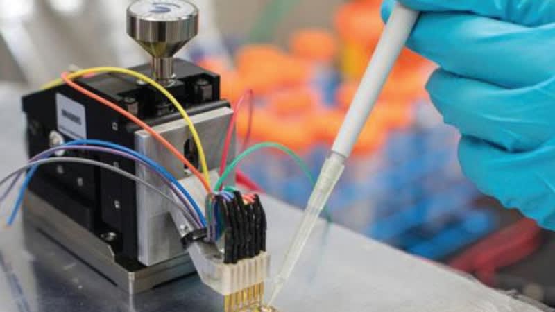 A Strip You Can Rely On: Tips for Designing Blood Glucose Test Strips ...