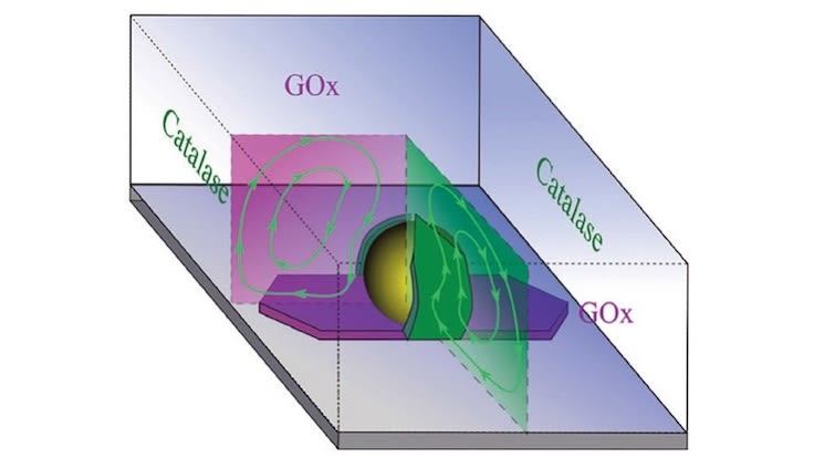 Chemically Driven Wheels “Morph” Into Gears - Tech Briefs