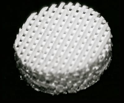 3d printed bones article