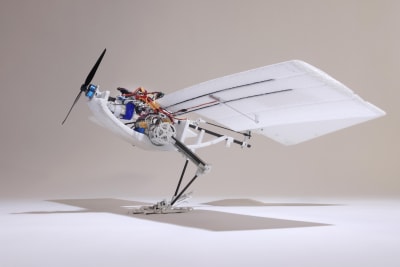 Raven smart drone store