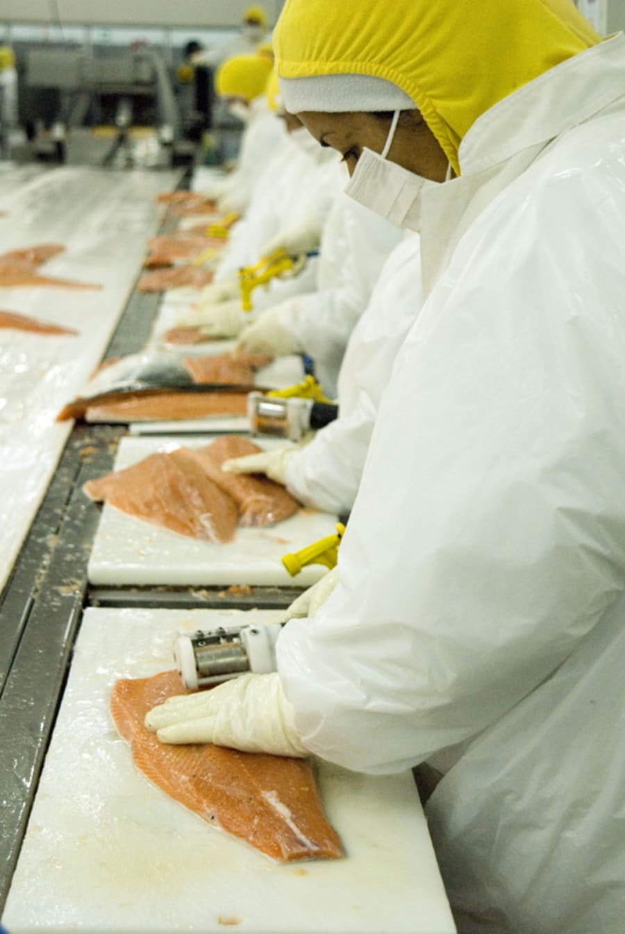 Fish Pin Bone Remover