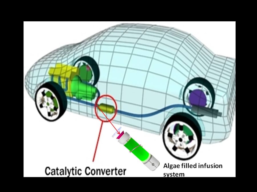 Green Exhaust System (Algae Infusion into Catalytic Convertor)