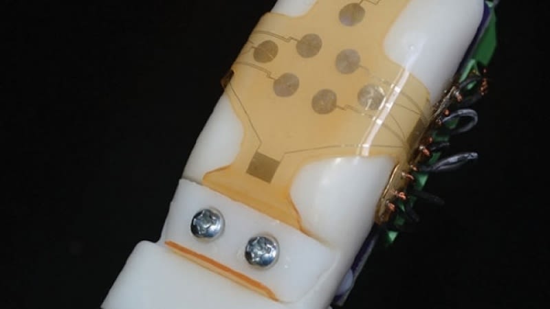 Smart Electronic Skin for Robots and Prosthetics - Tech Briefs