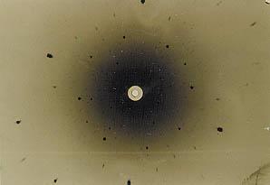 Single-Crystal YAG Reinforcement Preforms for Refractory Composites ...