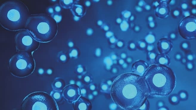 Microscope Confocal Module - Tech Briefs