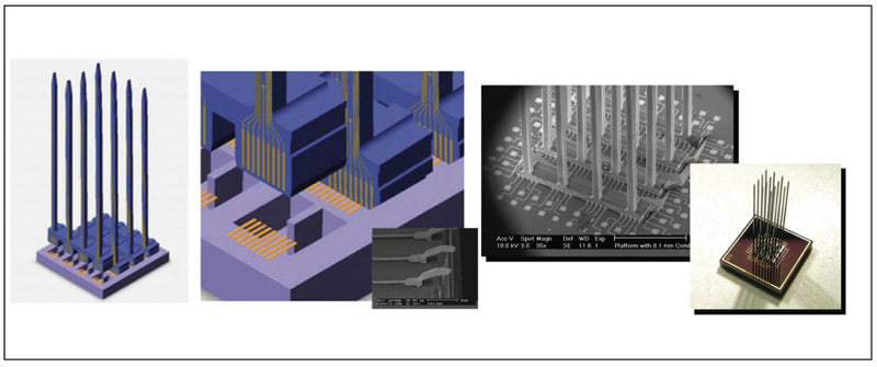 Using Microelectrode Arrays for Cerebral Applications - Tech Briefs