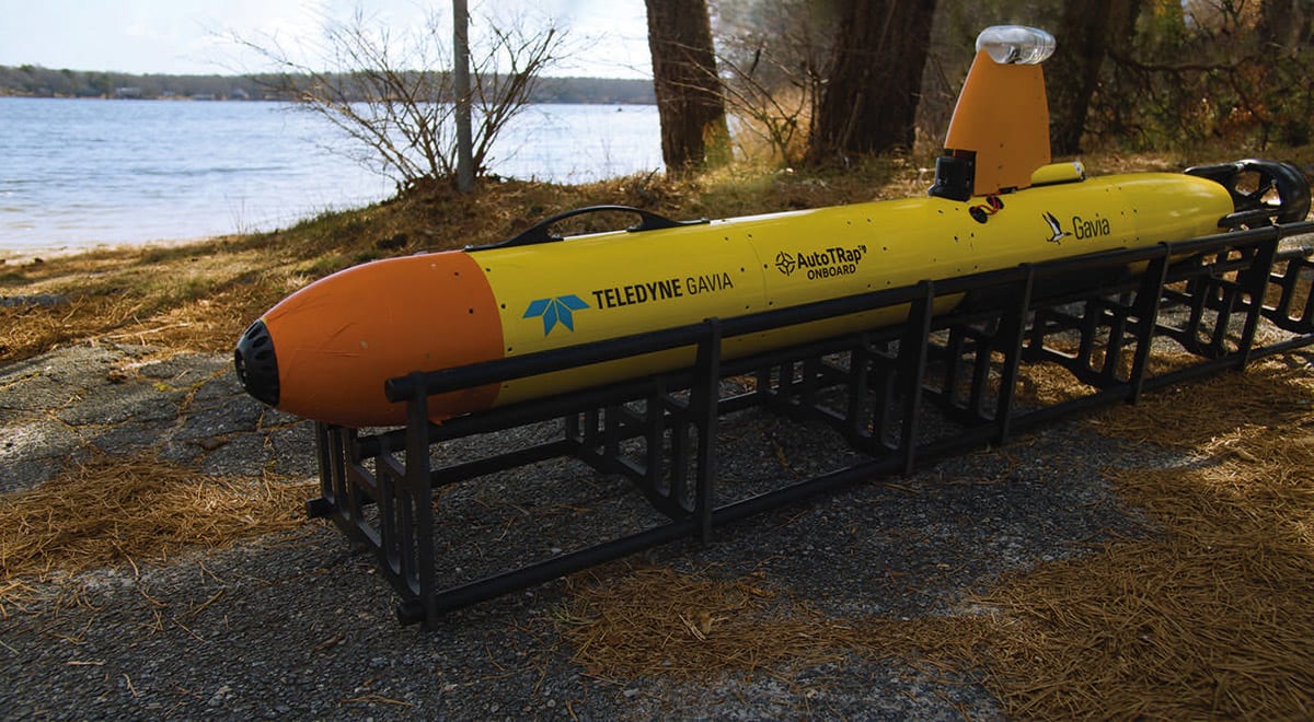 Developing Object Detection Systems For Autonomous Underwater Vehicles