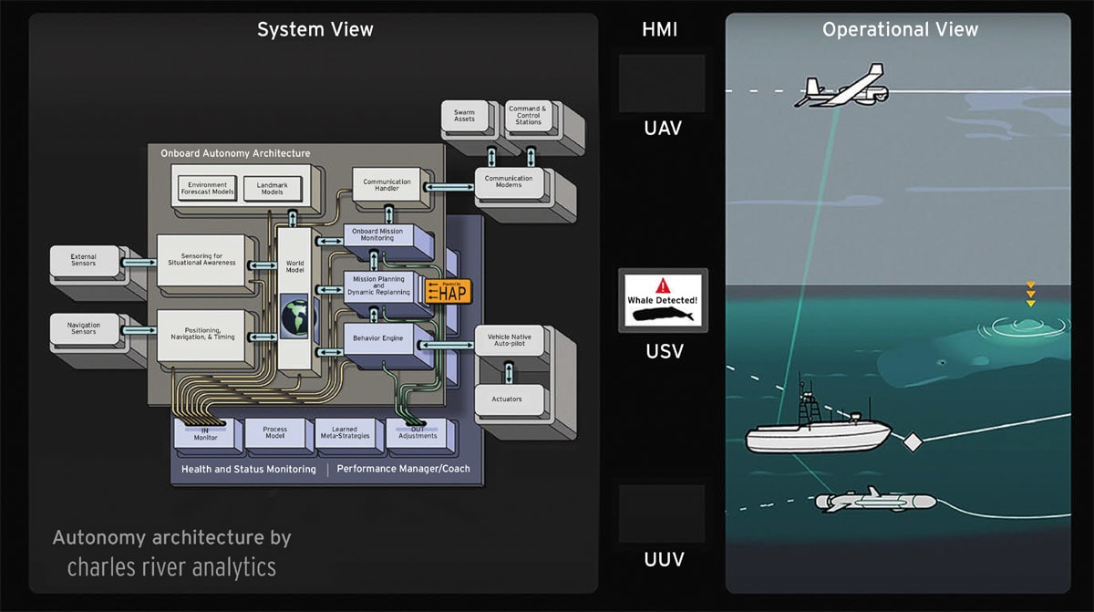 Developing Object Detection Systems For Autonomous Underwater Vehicles