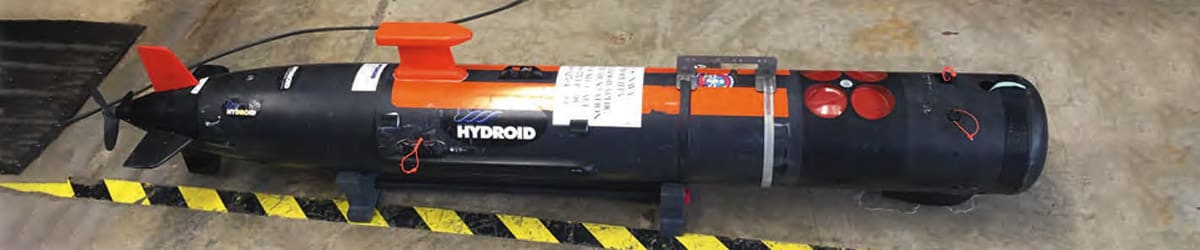 Experimental Assessment of Entanglement for an Unmanned Underwater ...