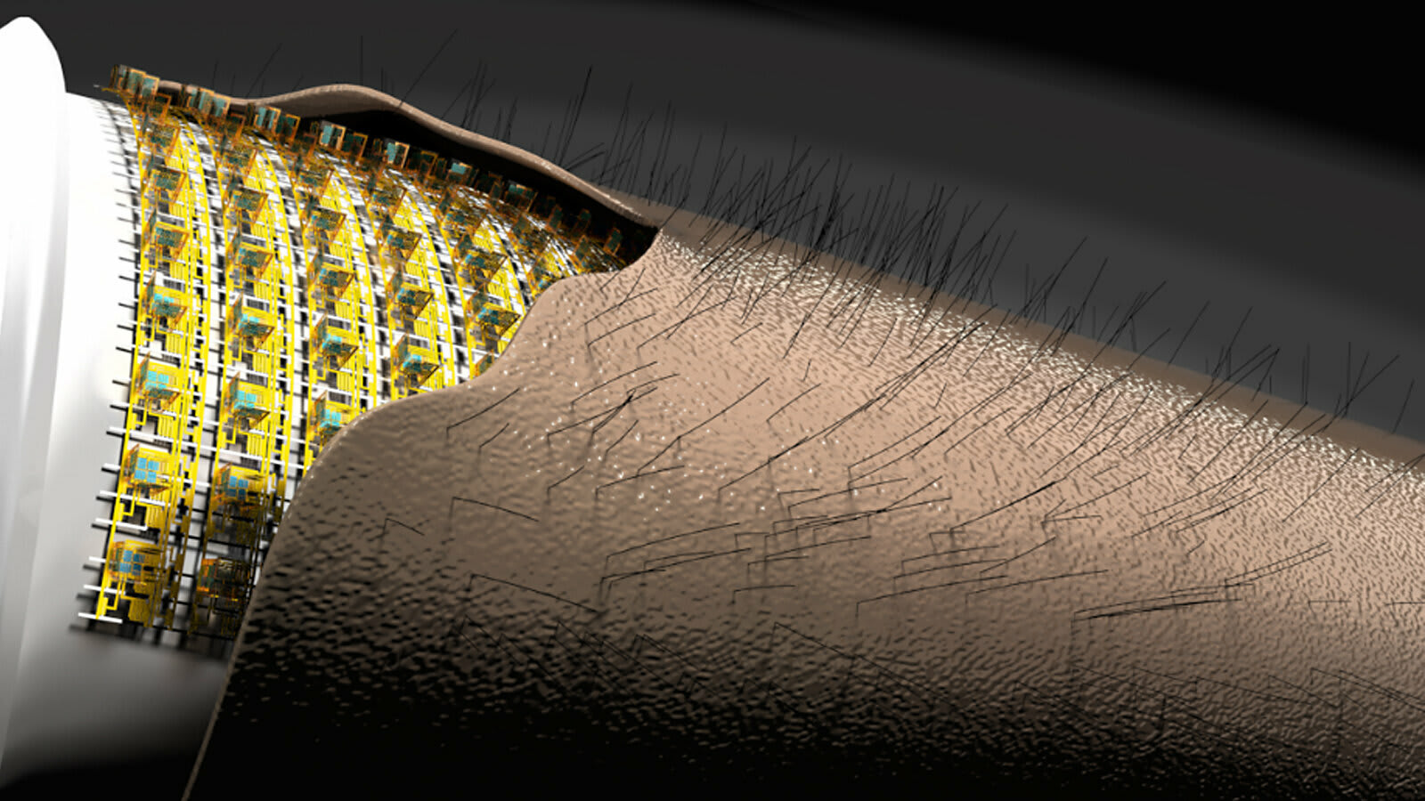 Electronic Skin Anticipates and Perceives Touch from Different ...
