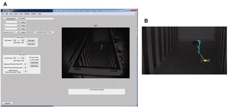 Agile Robust Autonomy: Inspired by Connecting Natural Flight and ...