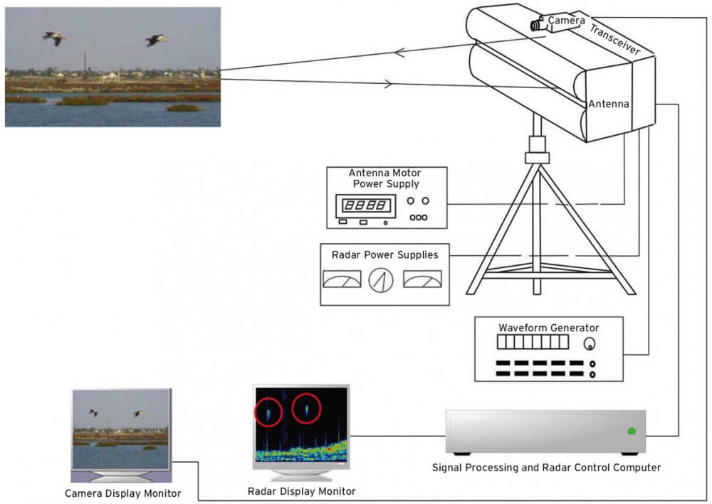 Development of a 94 GHz Radar System for Dedicated Bird Detection at ...