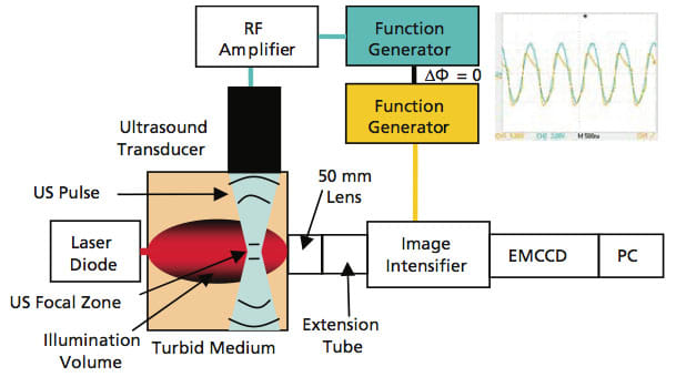 Dual Optics/Ultrasound Imaging and Contrast Media for the Detection and ...