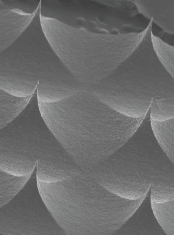 Silk Microneedles Deliver Controlled-Release Drugs Painlessly - Medical ...