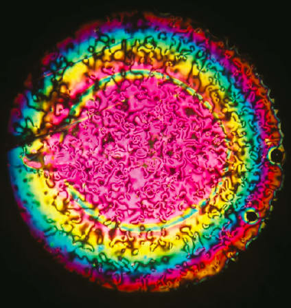 Liquid Crystal Artificial Eye Lens - Medical Design Briefs