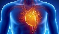 Electric Mesh Device “Hugs” Heart, Improving Cardiac Function - Medical ...