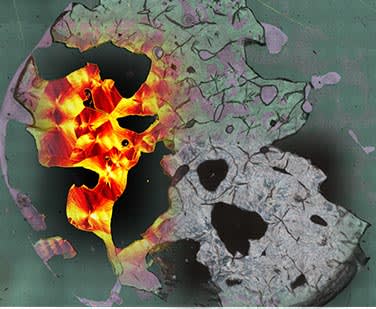 New Imaging Technique Could Speed Diagnosis of Cancer - Medical Design ...