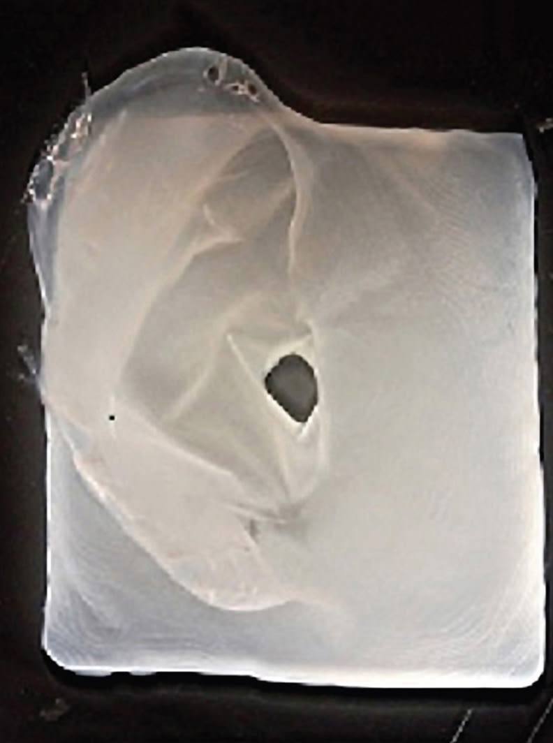 Simple Method Developed for 3D Biofabrication Based on Bacterial ...