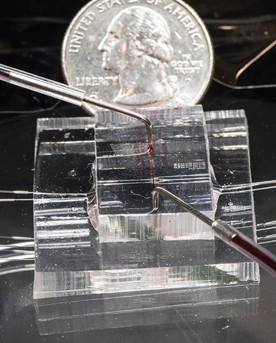 System Measures Nanoliter Flow Rates - Medical Design Briefs