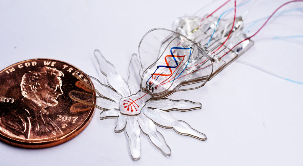 Flexible Microrobots for Medical Tasks - Medical Design Briefs