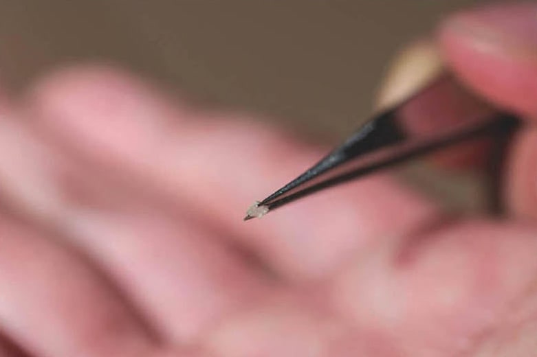 Tiny Vibration-Powered Robots Can Work Together - Medical Design Briefs