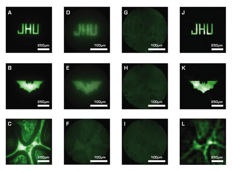 Ultra-Miniaturized Microendoscope Produces Higher-Quality Images ...