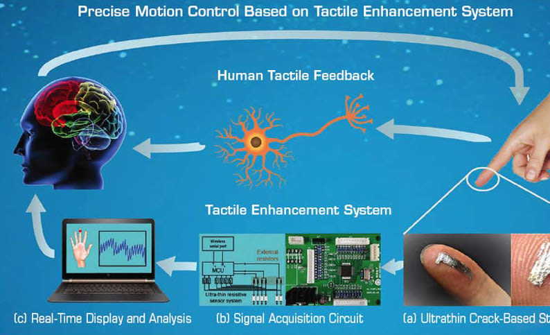 Highly Sensitive Sensors Show Promise in Enhancing Human Touch ...