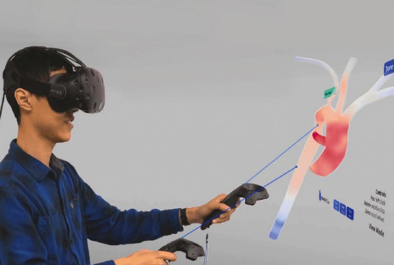 Virtual Reality Blood Flow Simulation to Improve Cardiovascular ...