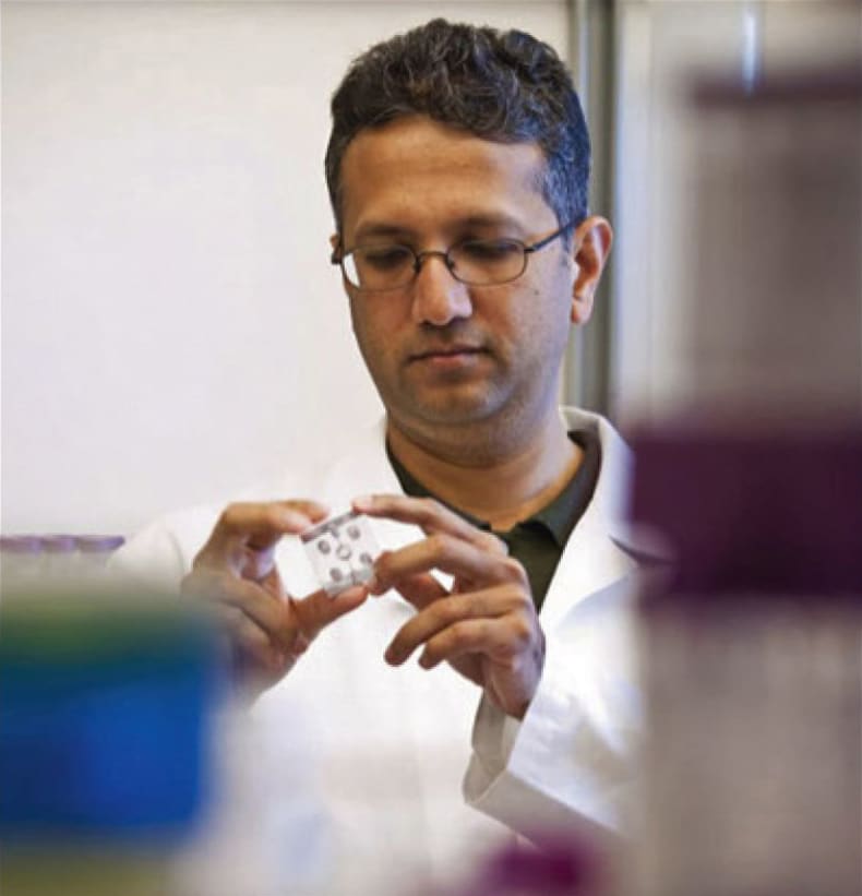 Implantable Bioartificial Kidney Achieves Preclinical Milestone ...