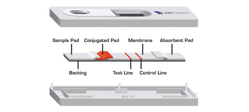 Diagnosing COVID-19: Anatomy of an LFI Test Device - Medical Design Briefs