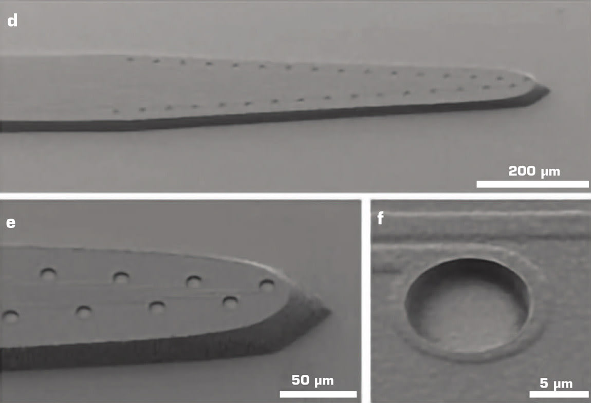 Neural Implant Monitors Multiple Brain Areas at Once, Provides New ...