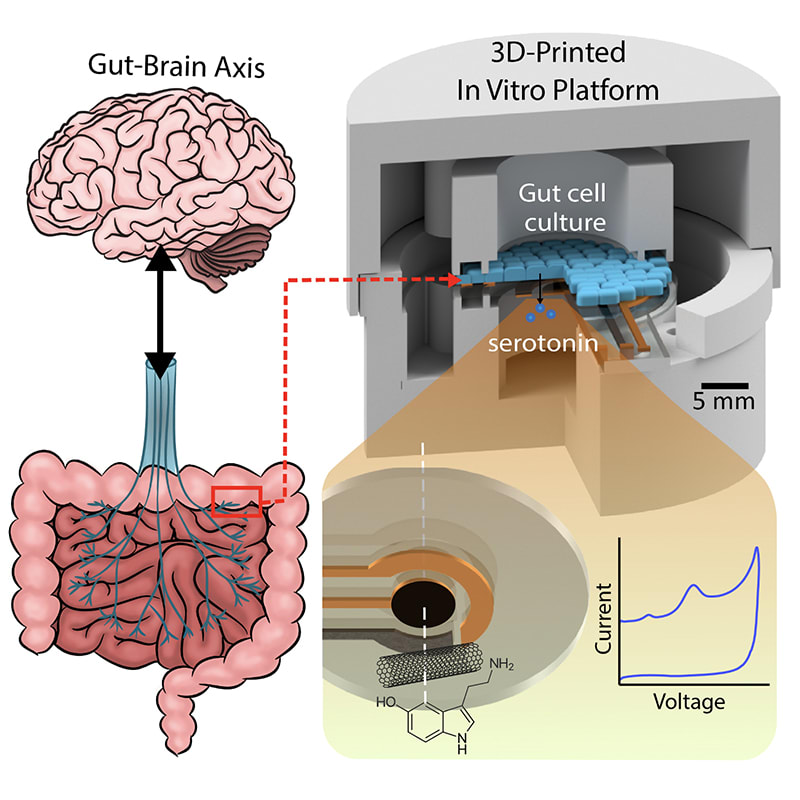 Platform Monitors Gut Microbiome - Medical Design Briefs
