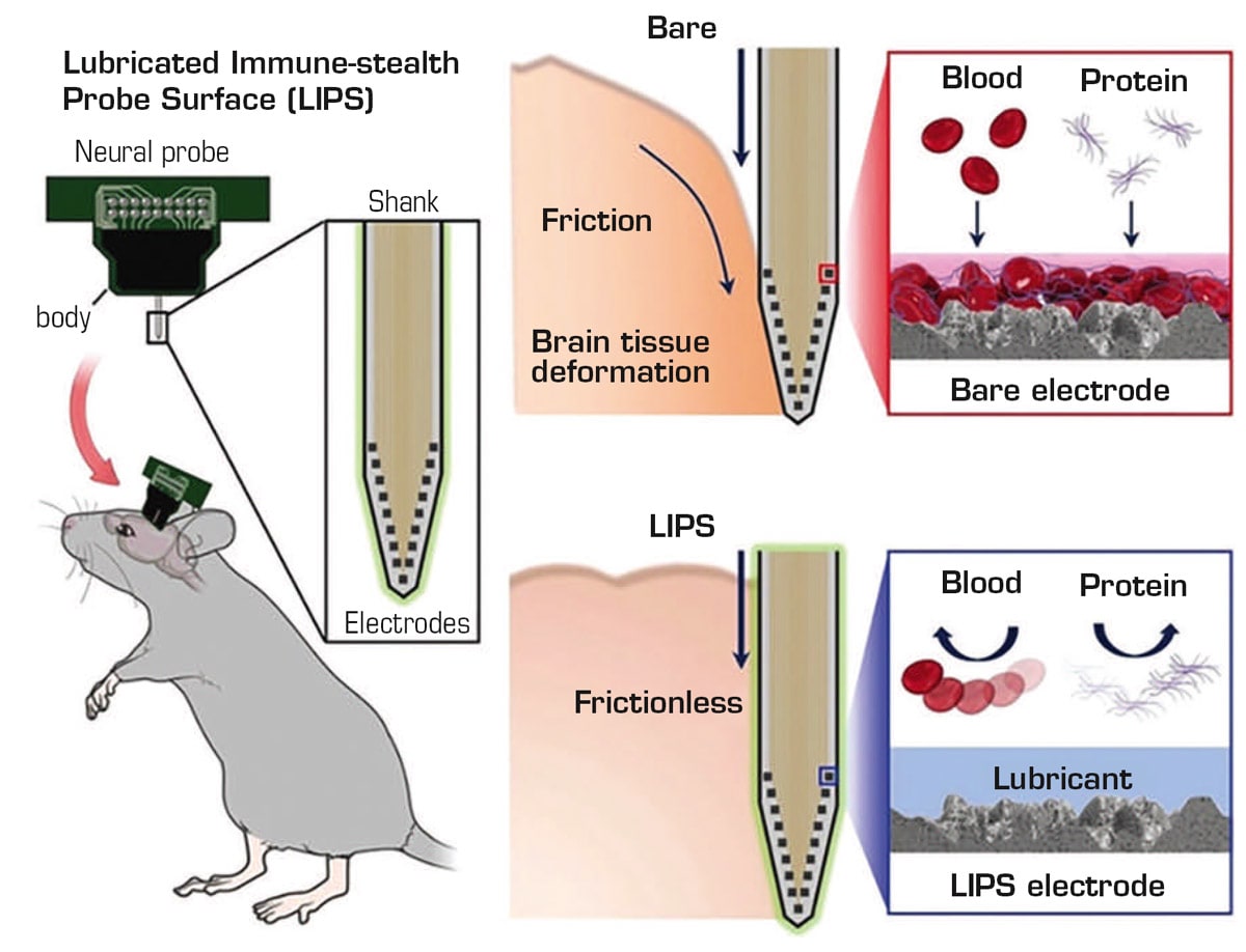 Increasing the Lifespan and Stability of Human Implantable Medical ...