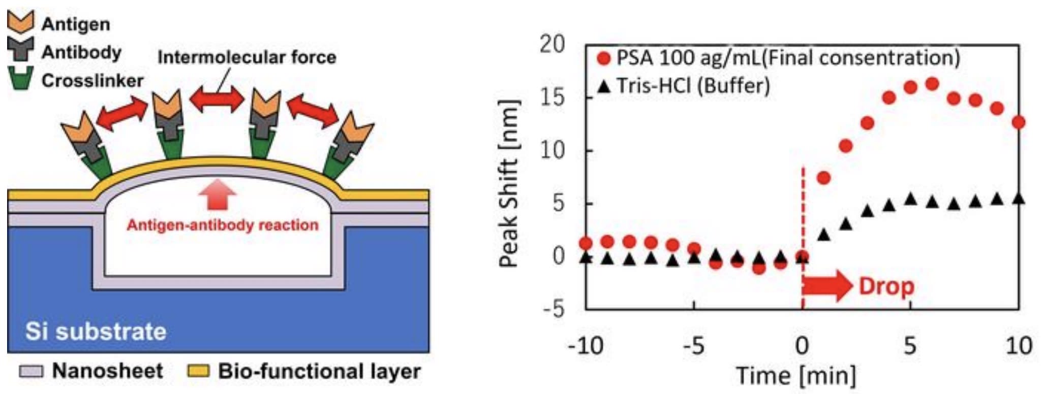 Microchip Detects Prostate Cancer Markers - Medical Design Briefs