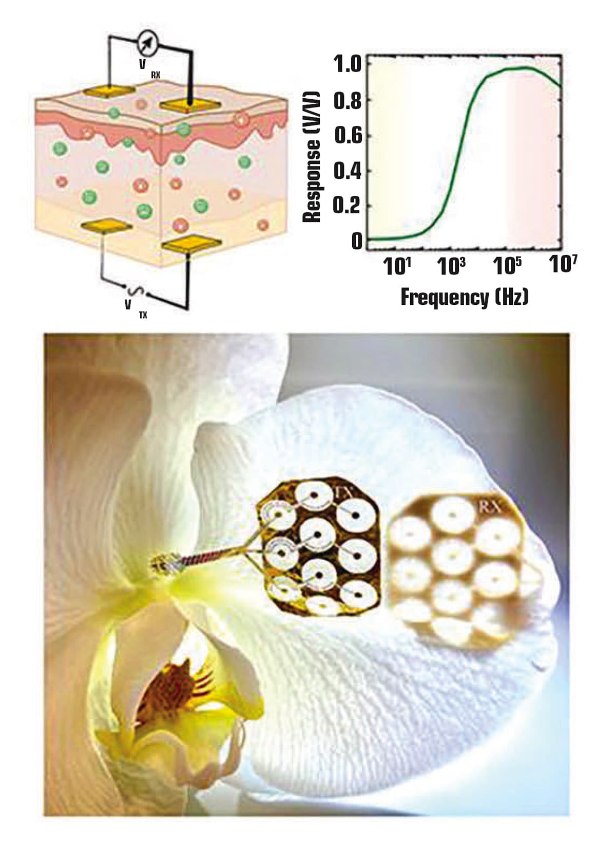 Wireless, High-Speed, Low-Power Communications for Implantable Devices ...