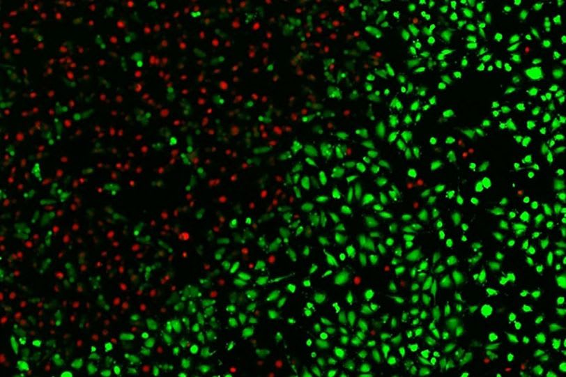 Tool Brings Touch to MIS Procedures - Medical Design Briefs